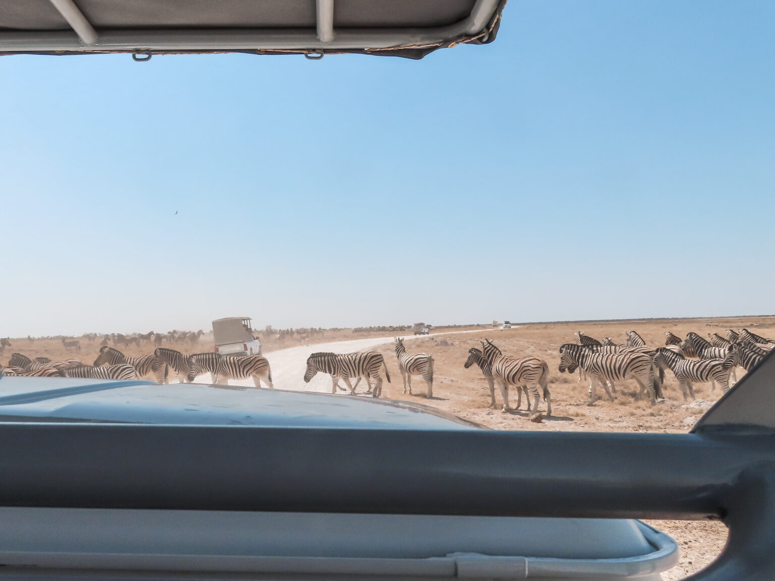 Renting A Car In Namibia: All You Need To Know